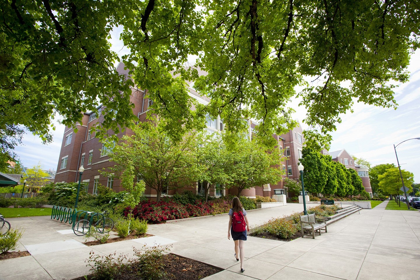 Academic Support and Resources | UO Academic Advising